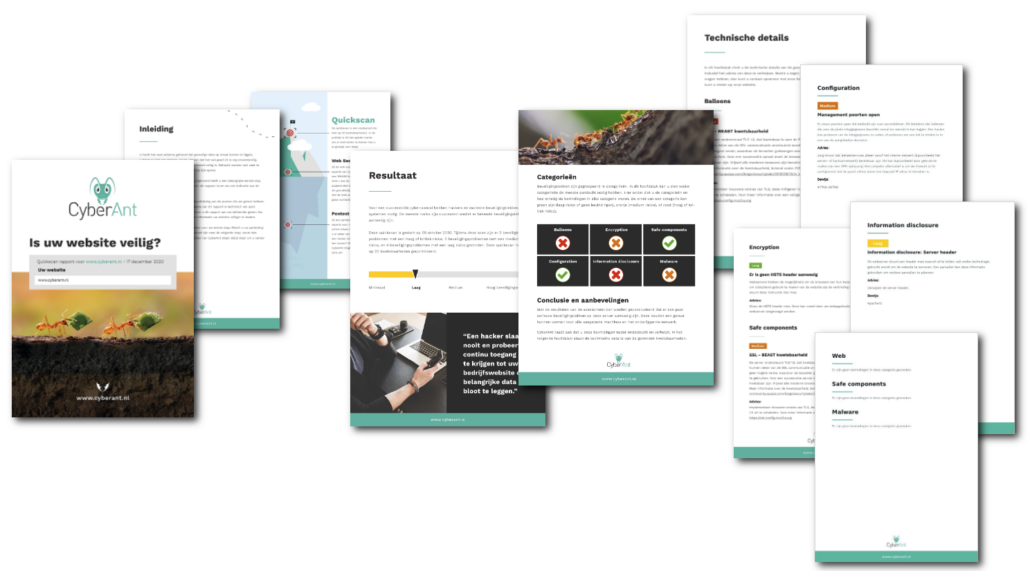 Quickscan - CyberAnt